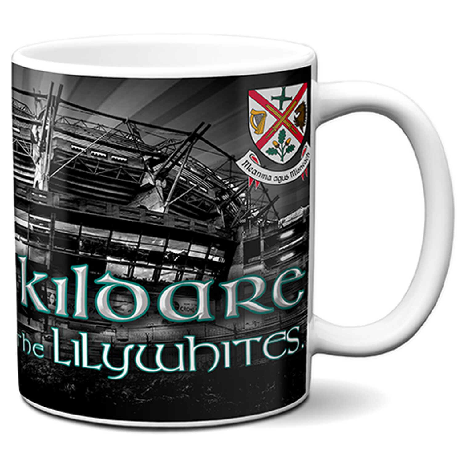 Personalised Kildare Hurling Mug GAA Fan Gaelic Cup Irish Birthday Gift ...