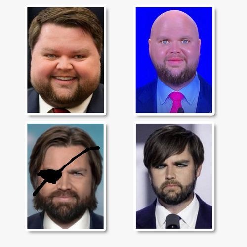 JD Vance Meme Stickers (4-Pack) 4.5" Decals | eBay