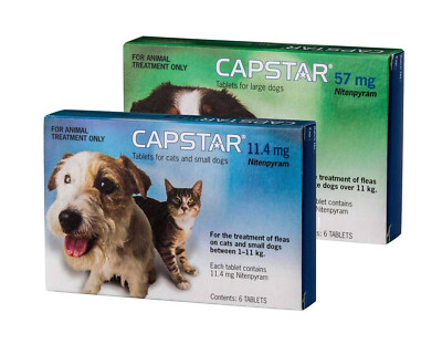 Capstar Flea Treatment Tablets 6 Pack Cats & Small Dogs or Large Dogs ...