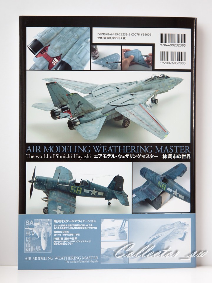 Air Modeling Weathering Master The World of Shuichi Hayashi (DHL/ECMS ...