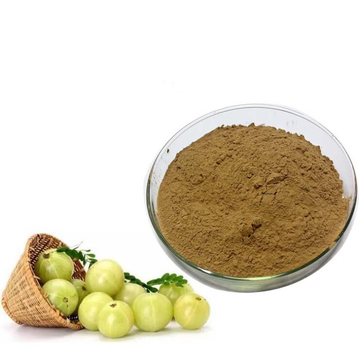 100g Amla Extract (10:1) Powder Emblica officinalis Phyllanthus emblica ...