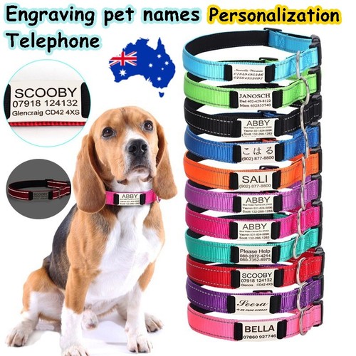 Reflective Nylon Personalised Dog Collar Custom ID Name Phone Number ...