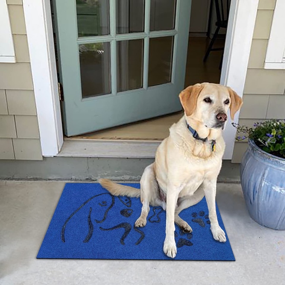 Blue Door Mat Outdoor Paw Welcome Mat Durable Non Slip Funny Ultra ...