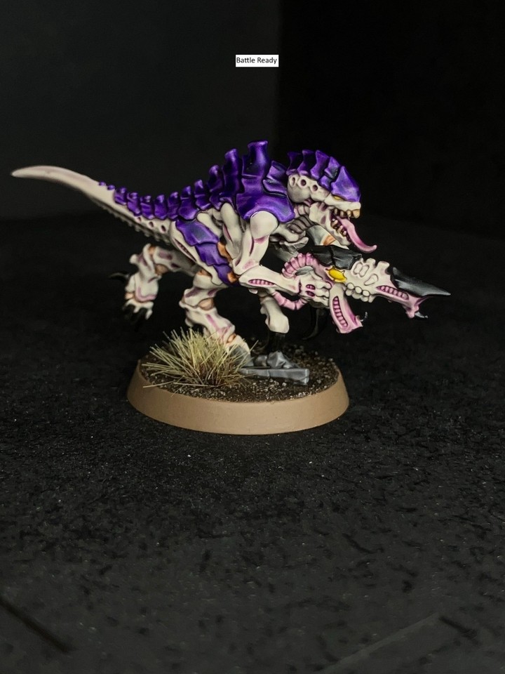 Warhammer 40K Aeldari Swooping Hawks Pro Painted Commission Service ...