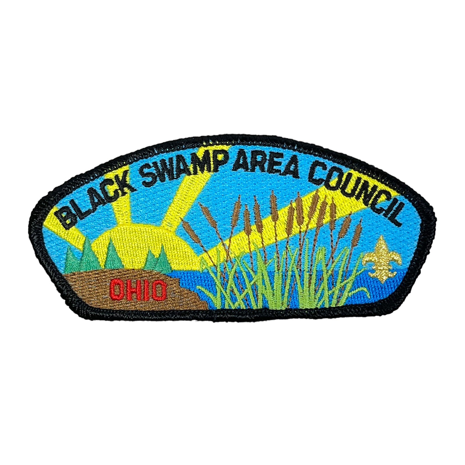 Black Swamp Area Council OHIO Patch BSA Boy Scouts cattail sun | eBay