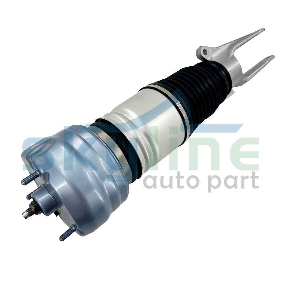 Front Right Air Suspension Strut Fit Porsche Panamera 970 2010-2013 ...