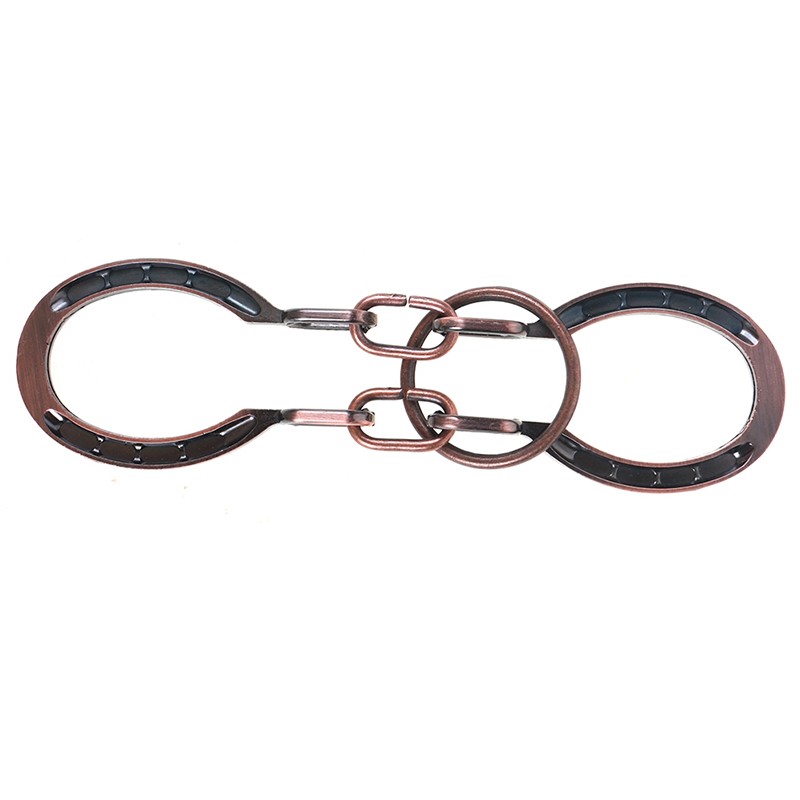 Horseshoe Lock Toys Adult and Teenager Cast Metal Brain Teaser Puzzle T ...