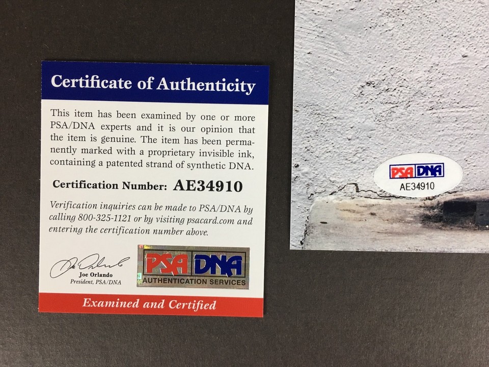 MANDY MOORE SIGNED 11X14 PHOTO PSA DNA COA AUTOGRAPH AE34910 | eBay