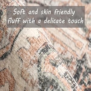 Area Rug 2x3 Washable Rug Door Mat Vintage Distressed Doormat Indoor ...