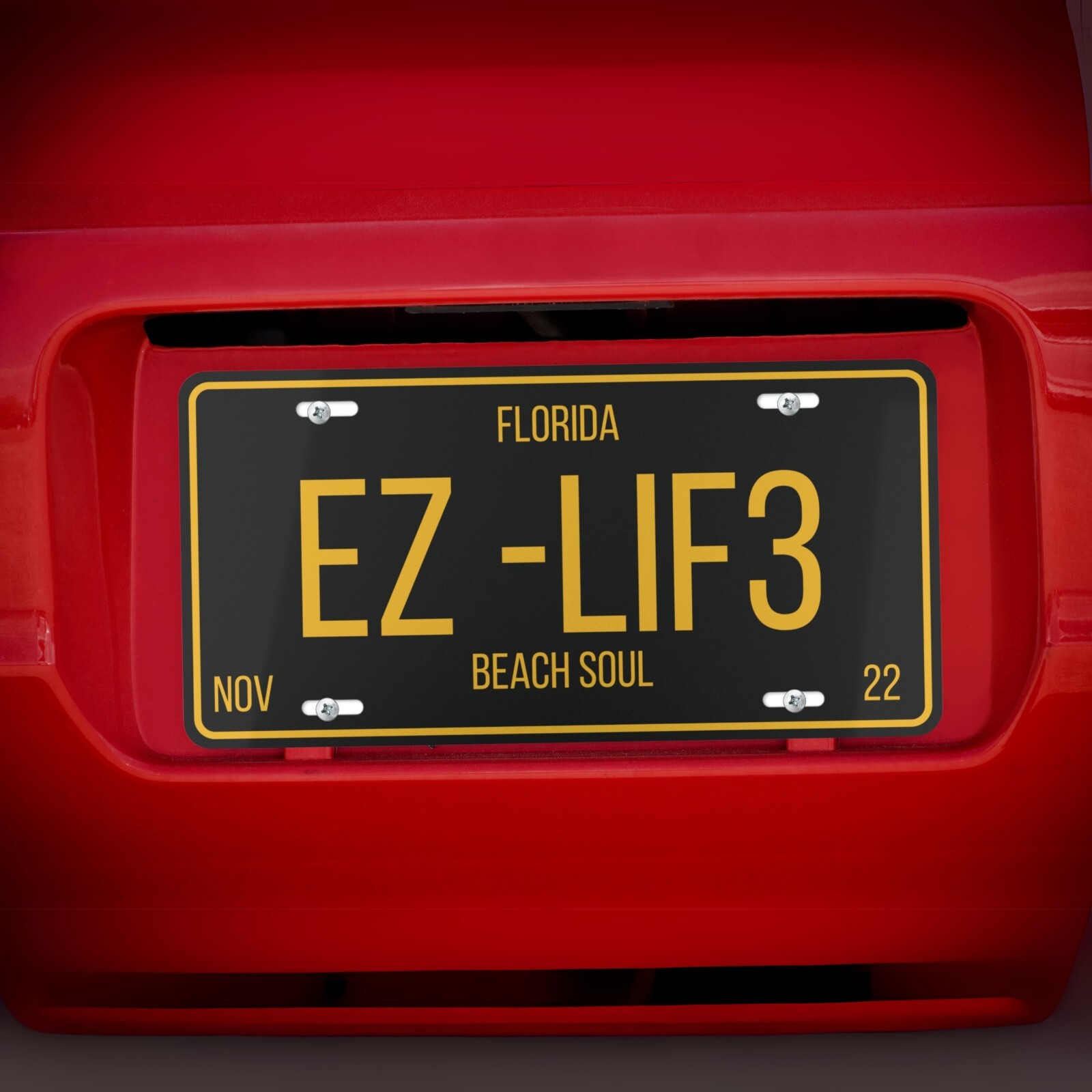 Personalized Custom Aluminum License Plate Any State & Text Multicolor ...