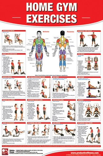 Total Gym Exercise Poster