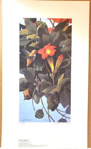 HUMMINGBIRD MARIO FERNANDEZ Limited Edition Signed Legal Bird | eBay