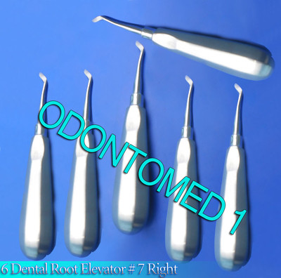 6 Dental Tooth Surgery East West Elevator #7 Right Standerd Handle | eBay