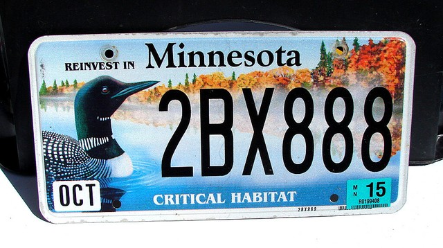 Minnesota CRITICAL HABITAT LOON License Plate WILDLIFE DUCK # 2BX888 | eBay