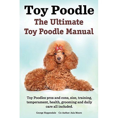 Toy Poodles. the Ultimate Toy Poodle Manual. Toy Poodles Pros and Cons ...
