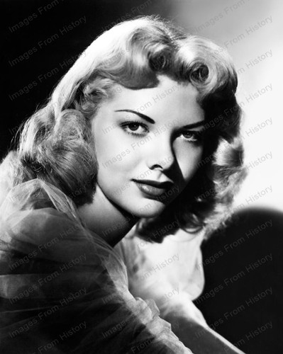 8x10 Print Barbara Lawrence Beautiful Portrait #3676 | eBay