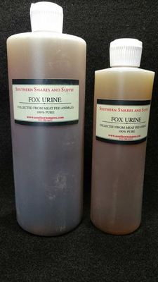 FRESH RED FOX URINE 100% PURE, PROFESSIONAL QUALITY TRAPPING FOX COYOTE ...