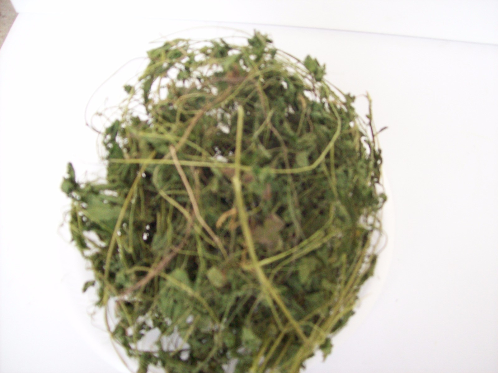 Asosi Leaves, Dried Cerasee Cerassie "Momordica charantia," Bitter ...