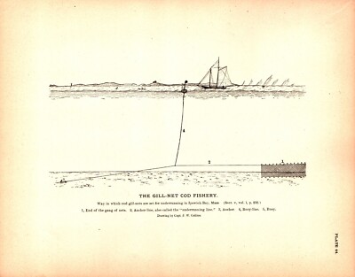 THE GILL-NET COD FISHERY, IPSWICH BAY, MASS. Antique original engraving ...