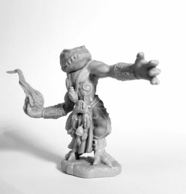 1x CHAOS TOAD SORCERER - BONES REAPER miniature rpg fan favorites ...