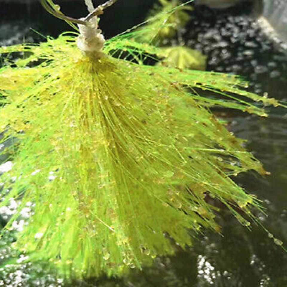 60cm/100cm Fish Spawning Koi Pond Breeding Laying Egg Strip Brush ...