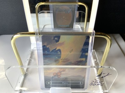 x1 Plains FULL ART BASIC LAND FOIL EOE Edge of Eternities MTG 262 M/NM ...