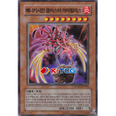 Yugioh Card "Phoenixian Cluster Amaryllis" RGBT-KR006 Korean Ver Common ...