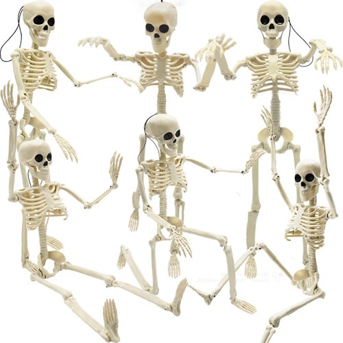 6PCS Skeleton Halloween Decorations, 16 in Full Body Poseable Small ...
