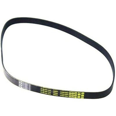 05281592AA Mopar Serpentine Belt for Jeep Wrangler 2019 | eBay