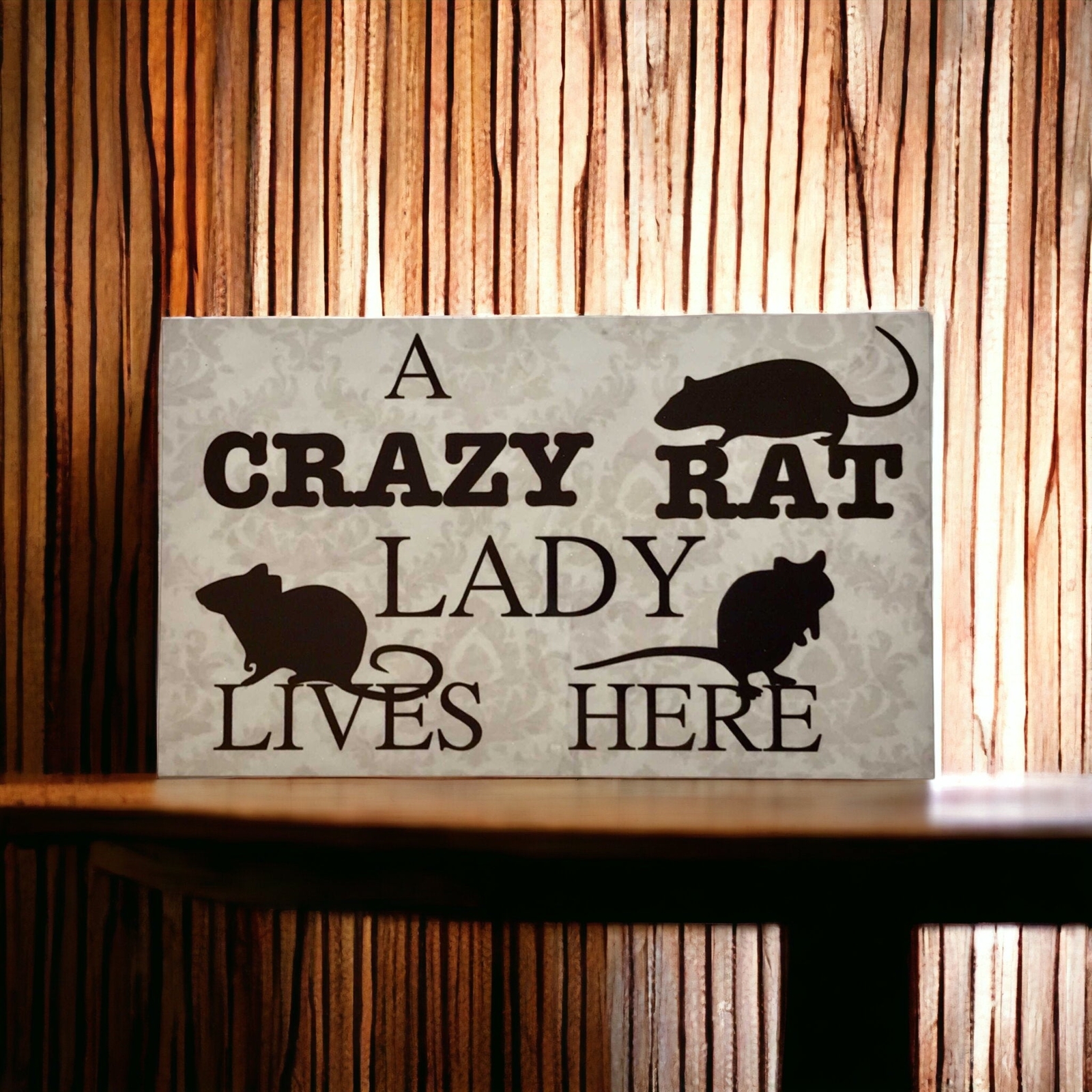 Crazy Rat Lady Lives Here Sign | eBay