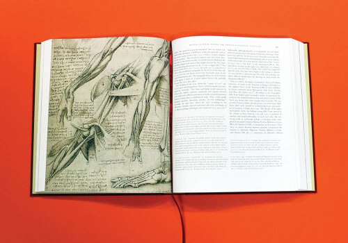Leonardo da Vinci Rediscovered by Bambach, Carmen C. 9780300191950 | eBay