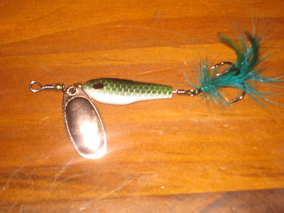 1 x Fishing Spinner Lure Redfin Perch Trout Cod etc, Bronze Spinner ...