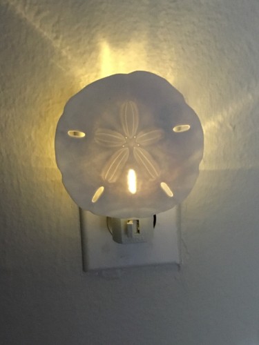 Shell Night Light Led Sand Dollar Nautical Decor Beach Theme | eBay