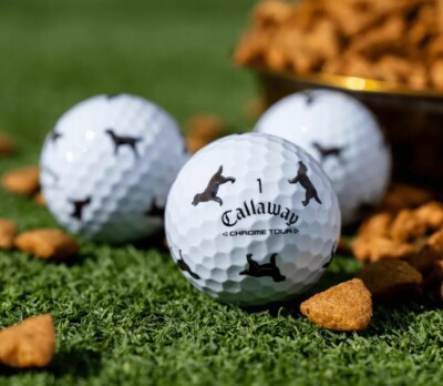 Callaway Chrome Tour Truvis Let The Big Dog Eat Chocolate Lab Golf ...