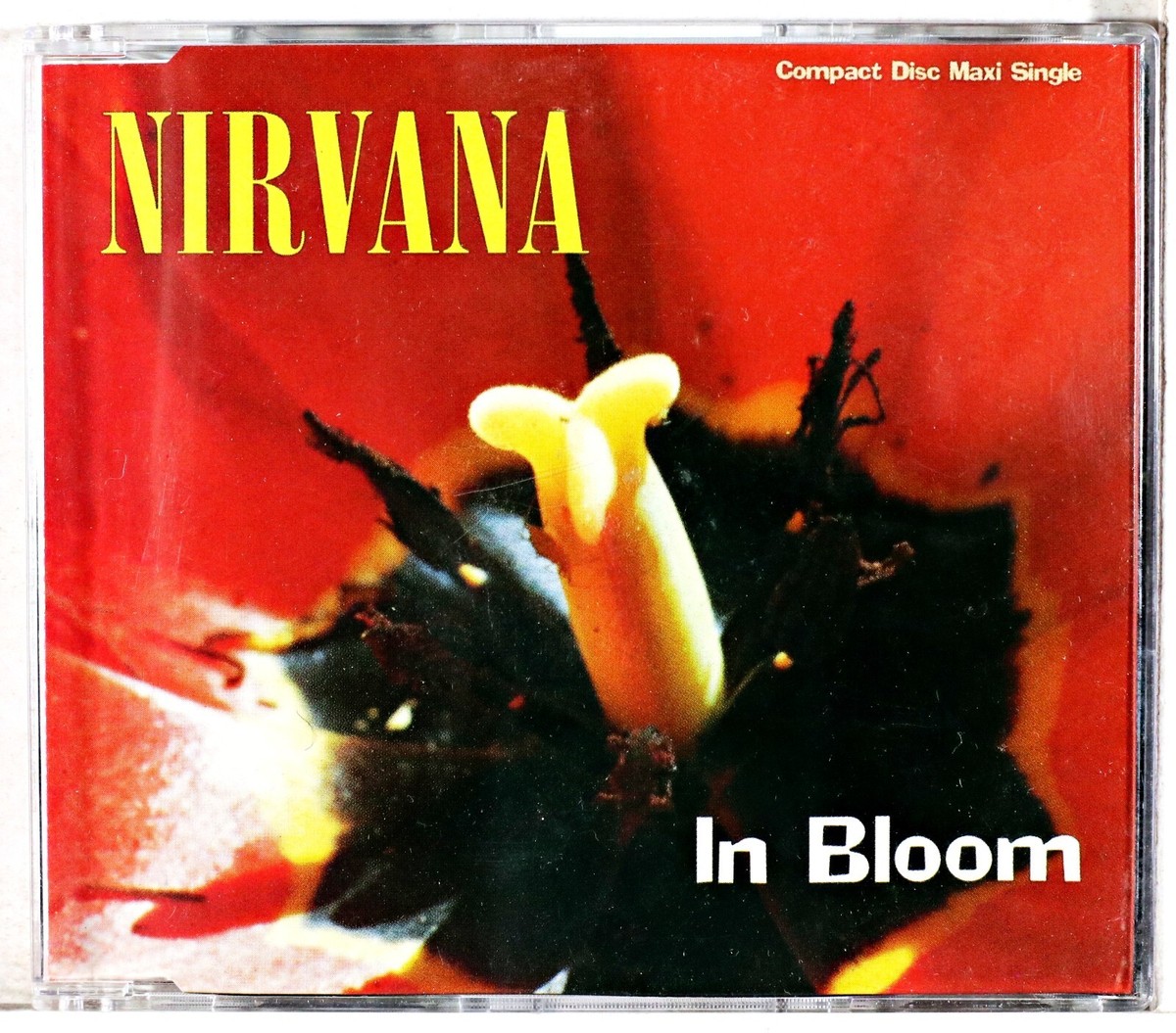 In Bloom Nirvana In Bloom: The Nirvana Nevermind... | Exhibitions