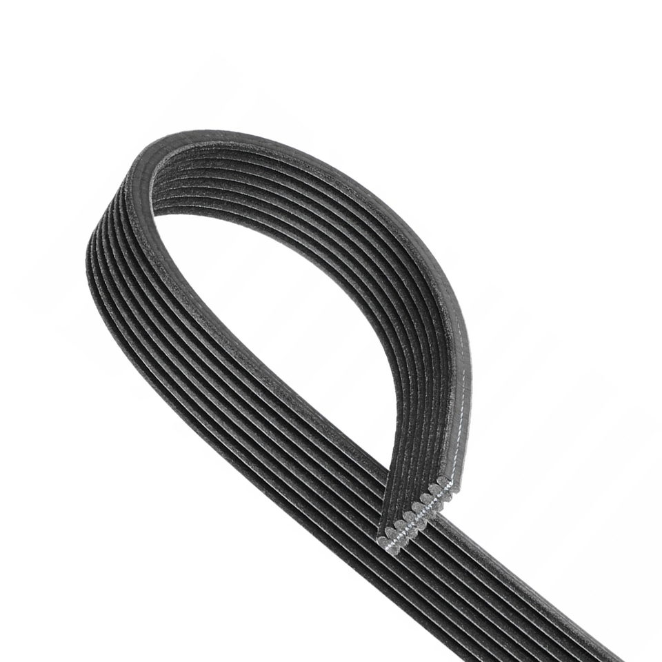 Belt Double 8DPK1825 fits for BMW N54-N55 - F01-E71-E72 | eBay