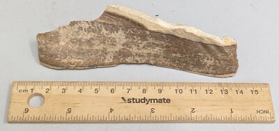 Neolithic & Paleolithic - Scraper Stone Age Paleolithic
