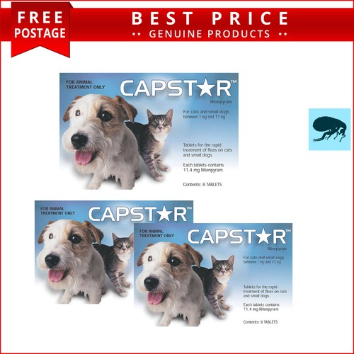 Capstar BLUE Pack Flea Treatment for Cats and Small Dogs 0.5 to 11 Kg 6 ...