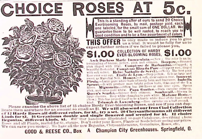 1891 Good & Reese Co Choice Roses Ever Blooming Print Ad 3.25 x 4.5" | eBay