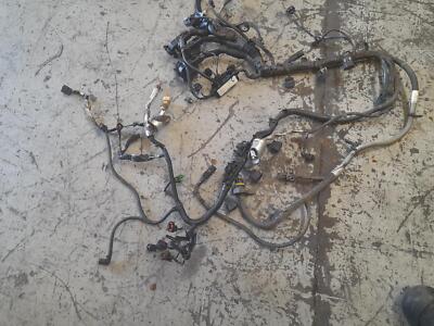 2011 VE COMMODORE ENGINE WIRING LOOM SUIT LF1 6 SPEED AUTO #39220 ...