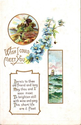 Postcard, Wish I could meet you, Pome, Blue flowers, c 1911 | eBay