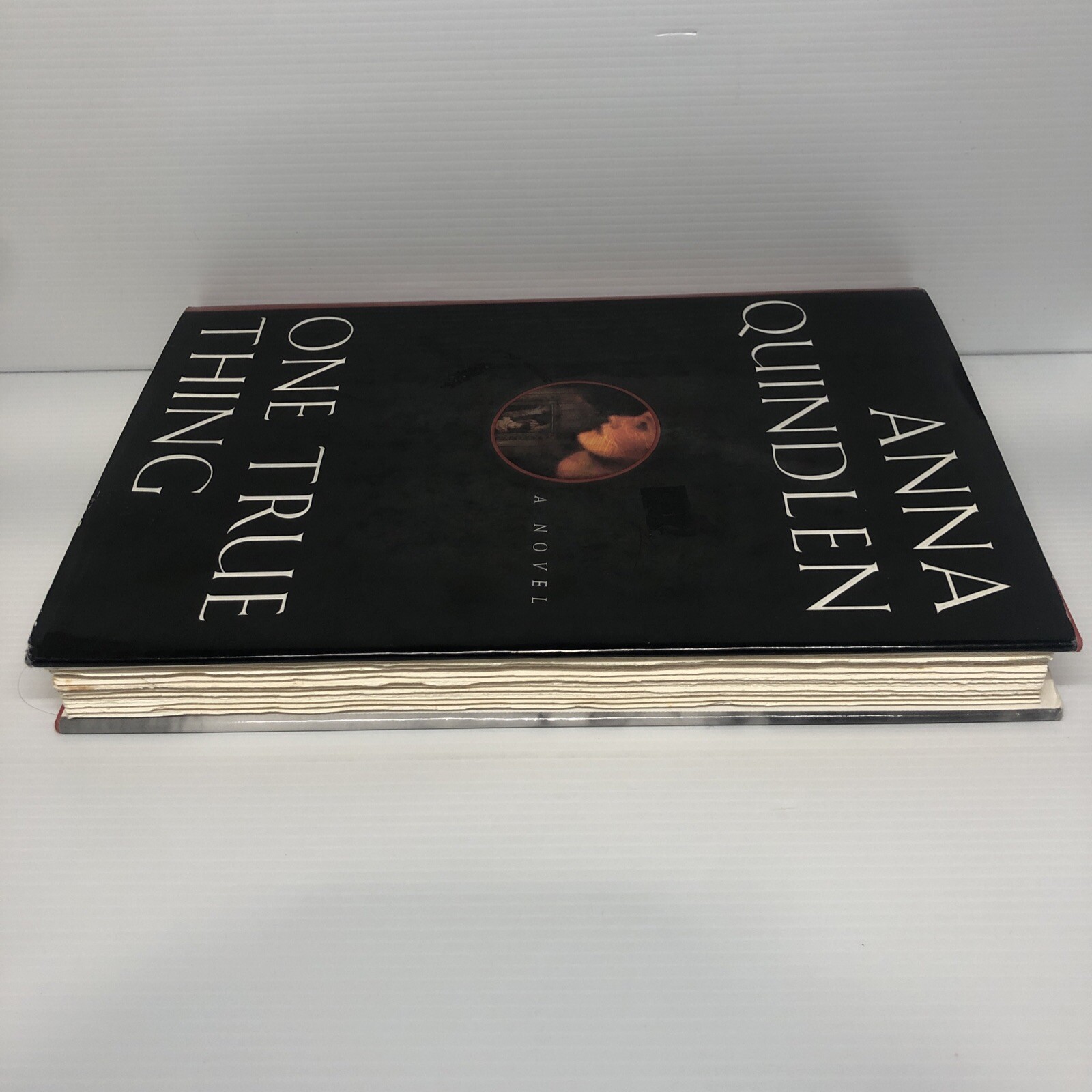 One True Thing by Anna Quindlen (1994, Hardcover) 9780679407126 | eBay