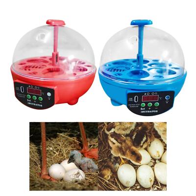USB Egg Incubator Manual Temperature Control with Display Chick ...