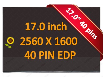 New 240hz Display for MSI RAIDER GE78HX 13VH MS-17S1 17" WQXGA LCD LED ...