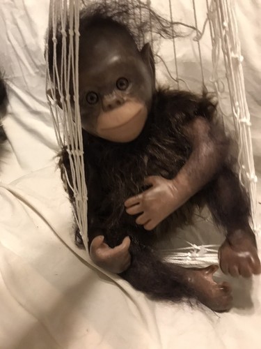 Cute “Reborn” Chimp W/ Unique Handmade Realistic Fur Body, Discontinued ...