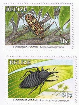 Stamps Belize 1995 Harlequin Beetle & Coconut Weevil MNH | eBay