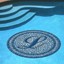29" Custom Pool Mat - Easily Decorate Your Pool - Removable | eBay