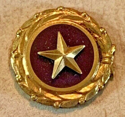 1947 Original GOLD STAR MOTHERS US Military Lapel Pin Button- Killed In ...