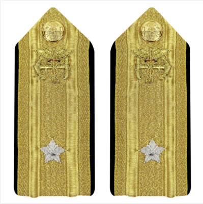 U.S. PUBLIC HEALTH SERVICE PHS FEMALE HARD SHOULDER BOARD: REAR ADMIRAL ...