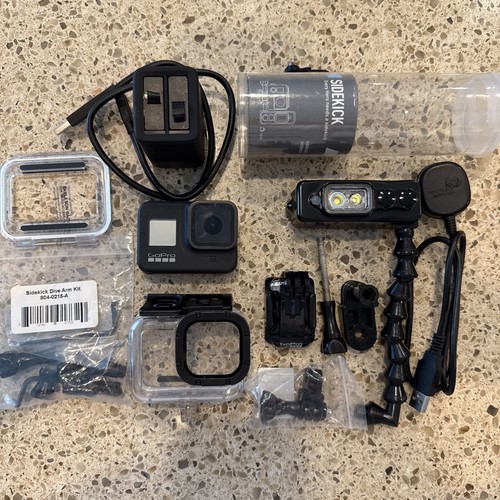 GoPro Hero 8 w/ Sidekick Duo Dive Light And Housing.and Carry Case | eBay